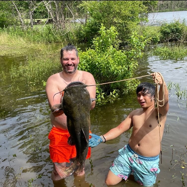 Noodling Catfish