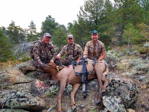 3 - Day Cow Elk Hunt