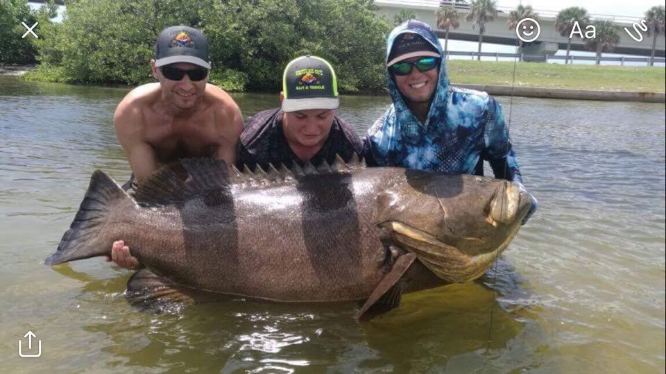 River Monsters Goliath Grouper