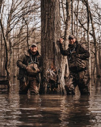 Guided Timber Duck Hunting in L'Anguille Bottoms