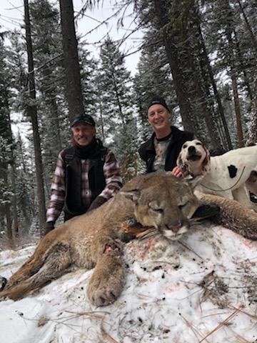 Venku | Listing | Guided Idaho Cougar Hunts