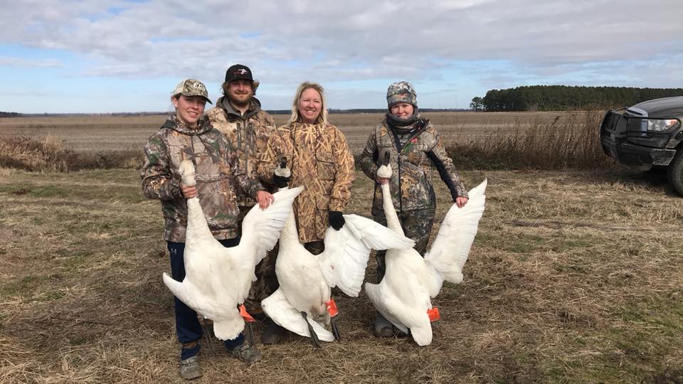 Tundra Swan Hunting
